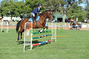 Gunnedah Show April 12th-14th - 2024 Events - OzShotz