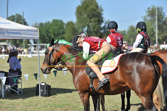 PCQ State Sporting Championships - 23rd to 26th Sept 2024 - 2024 Events - OzShotz